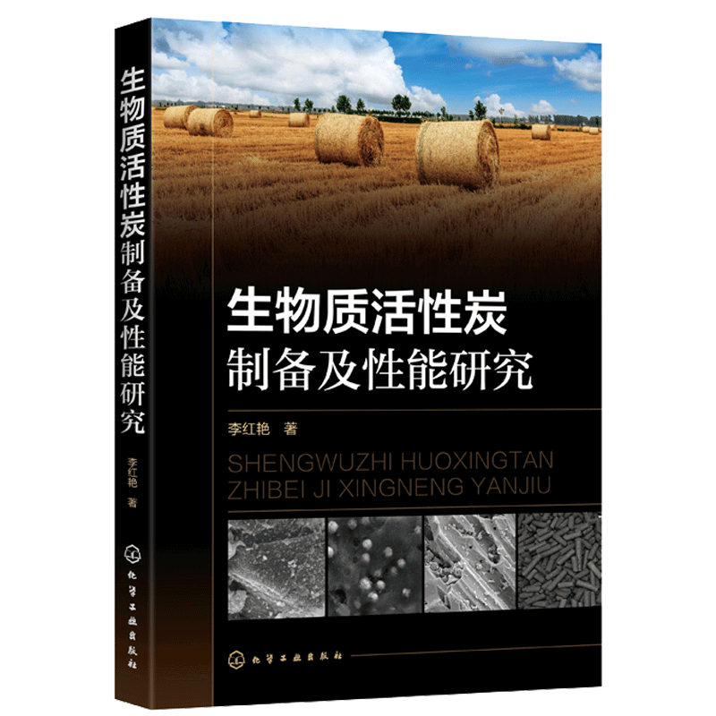 生物质活性炭制备及性能研究书籍