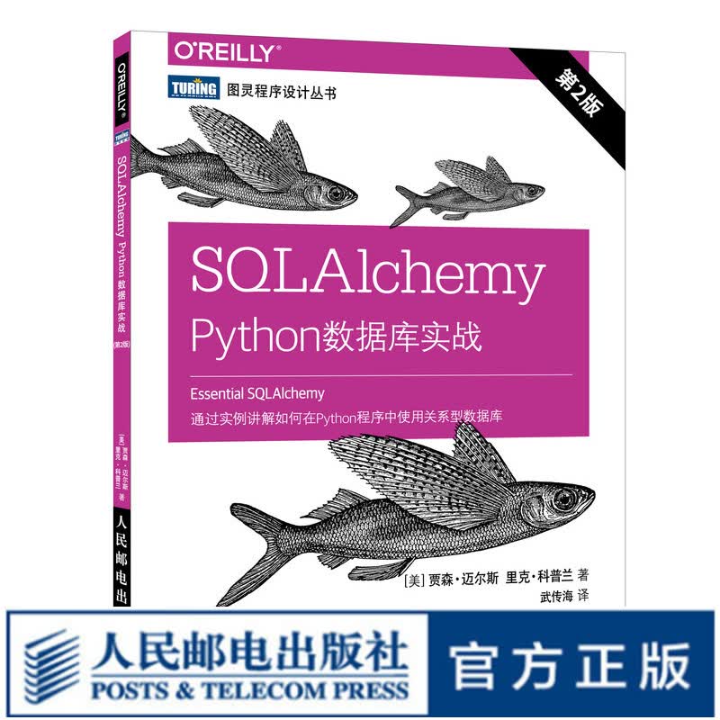 SQLAlchemy Python数据库实战 第2版 SQLalchemy入门教程图书使用指南 关