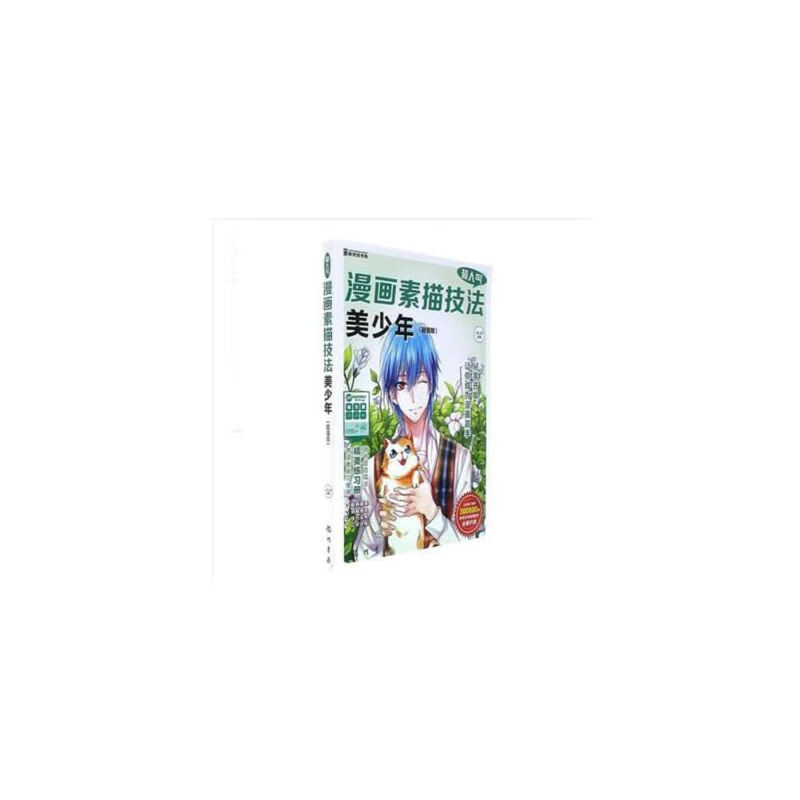 超人气漫画素描技法——美少年（超值版）