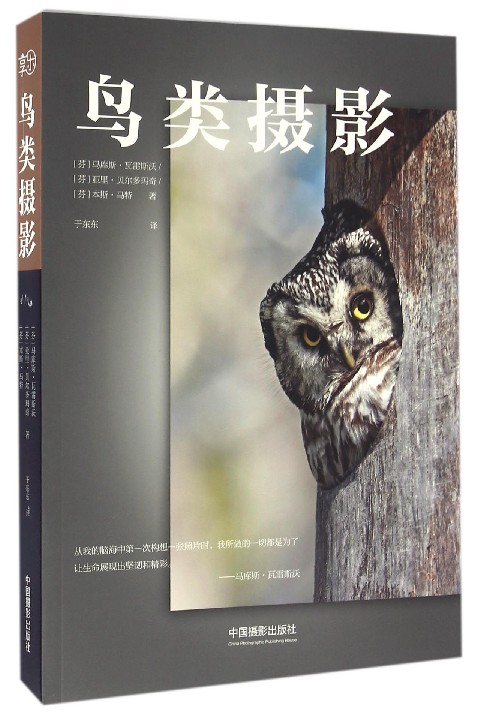 鸟类摄影