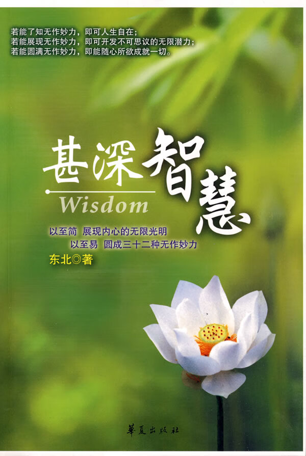 甚深智慧 东北 著