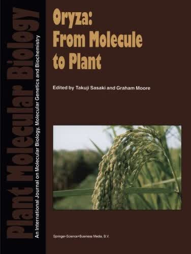 Oryza: From Molecule to Plant
