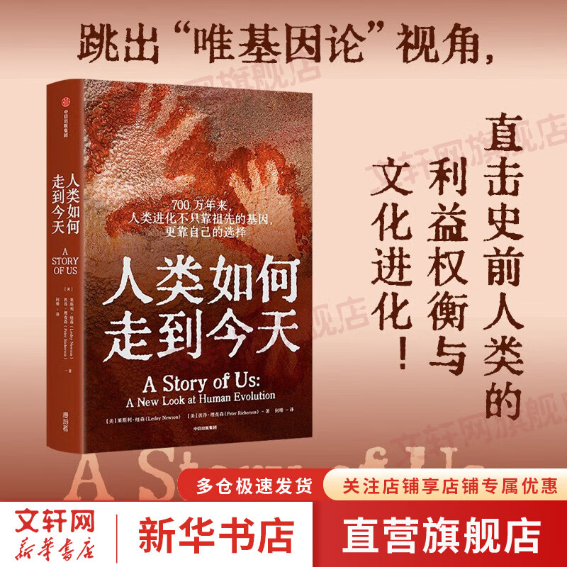 人类如何走到今天：进化生物学家带你“亲眼见证”700万年人类进化 莱斯利·纽森、彼得·理查森 著 图书