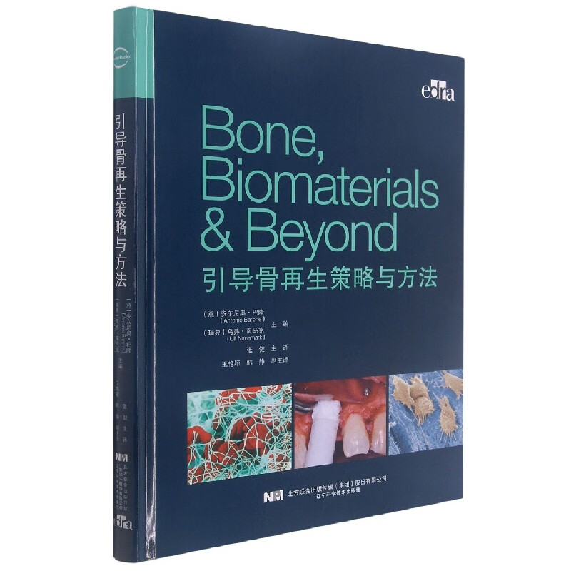 引导骨再生策略与方法