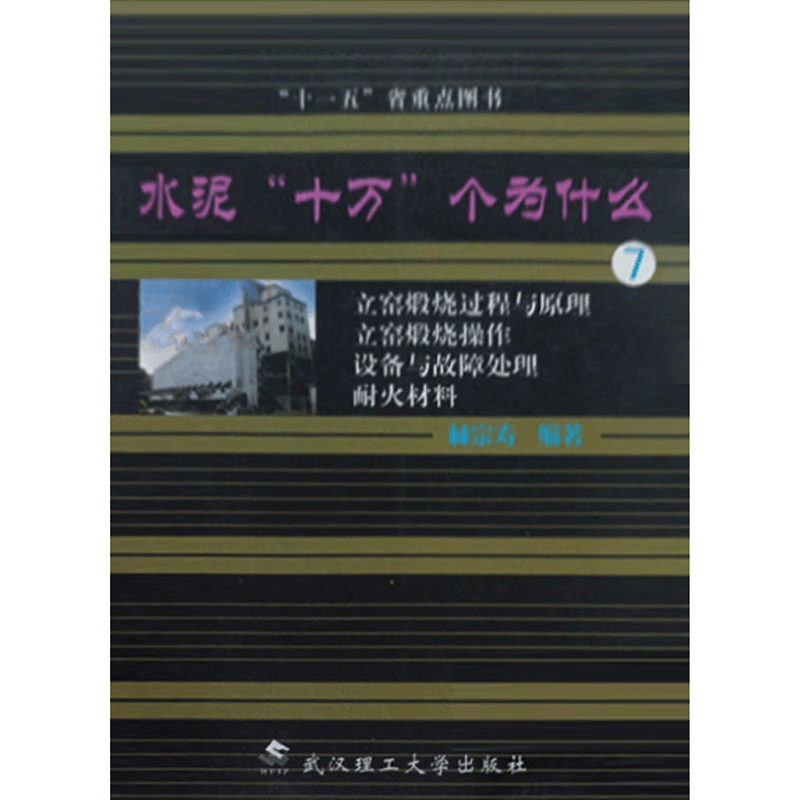 水泥十万个为什么 7立窑煅烧过程与原理立窑煅烧操作设备与故障处理耐火材料 林宗寿著 武汉理工大学出版社