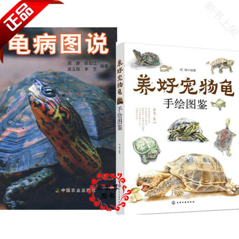 养好宠物龟手绘图鉴+龟病图说 四季喂养指南 宠物龟家养乌龟选购方法技巧 日常看护理知识高效养龟鳖养殖