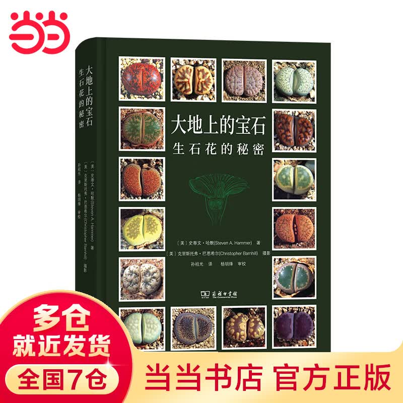大地上的宝石——生石花的秘密
