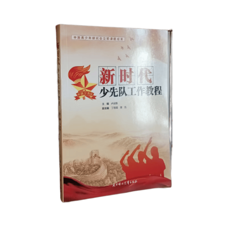 新时代少先队工作教程