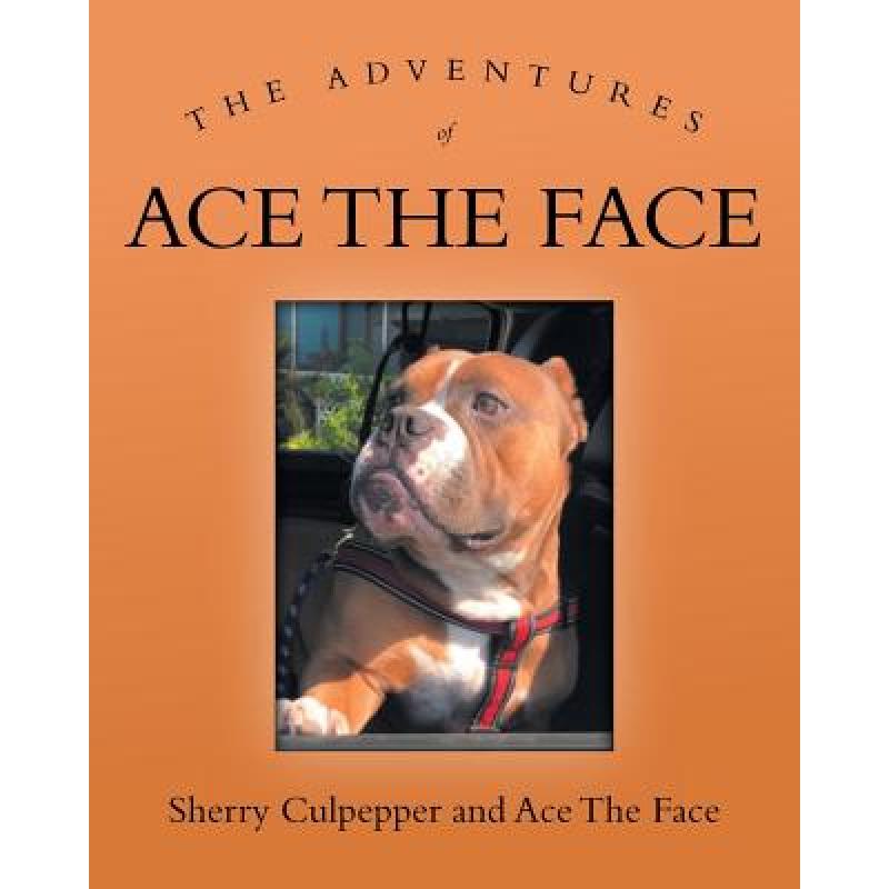 The Adventures of Ace The Face