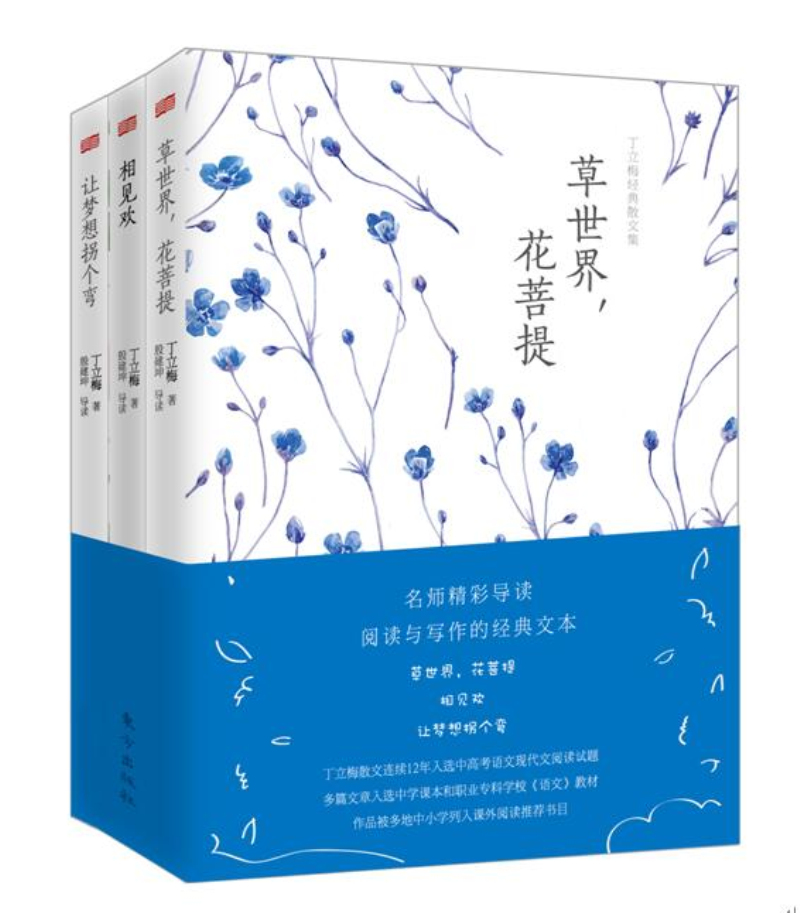 丁立梅经典散文集（套装全3册）
