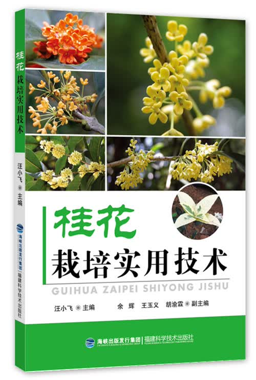 桂花栽培实用技术