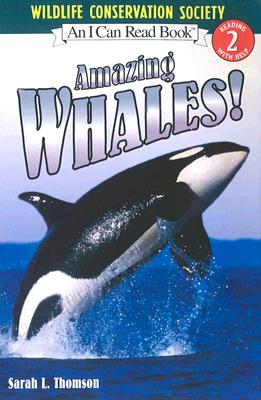 Amazing Whales! 进口儿童绘本