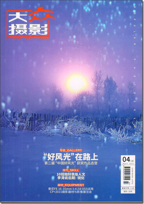 大众摄影（2015年4A月号）