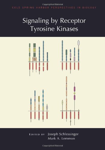 Signaling by Receptor Tyro