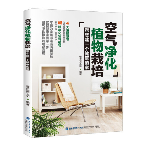 空气净化植物栽培