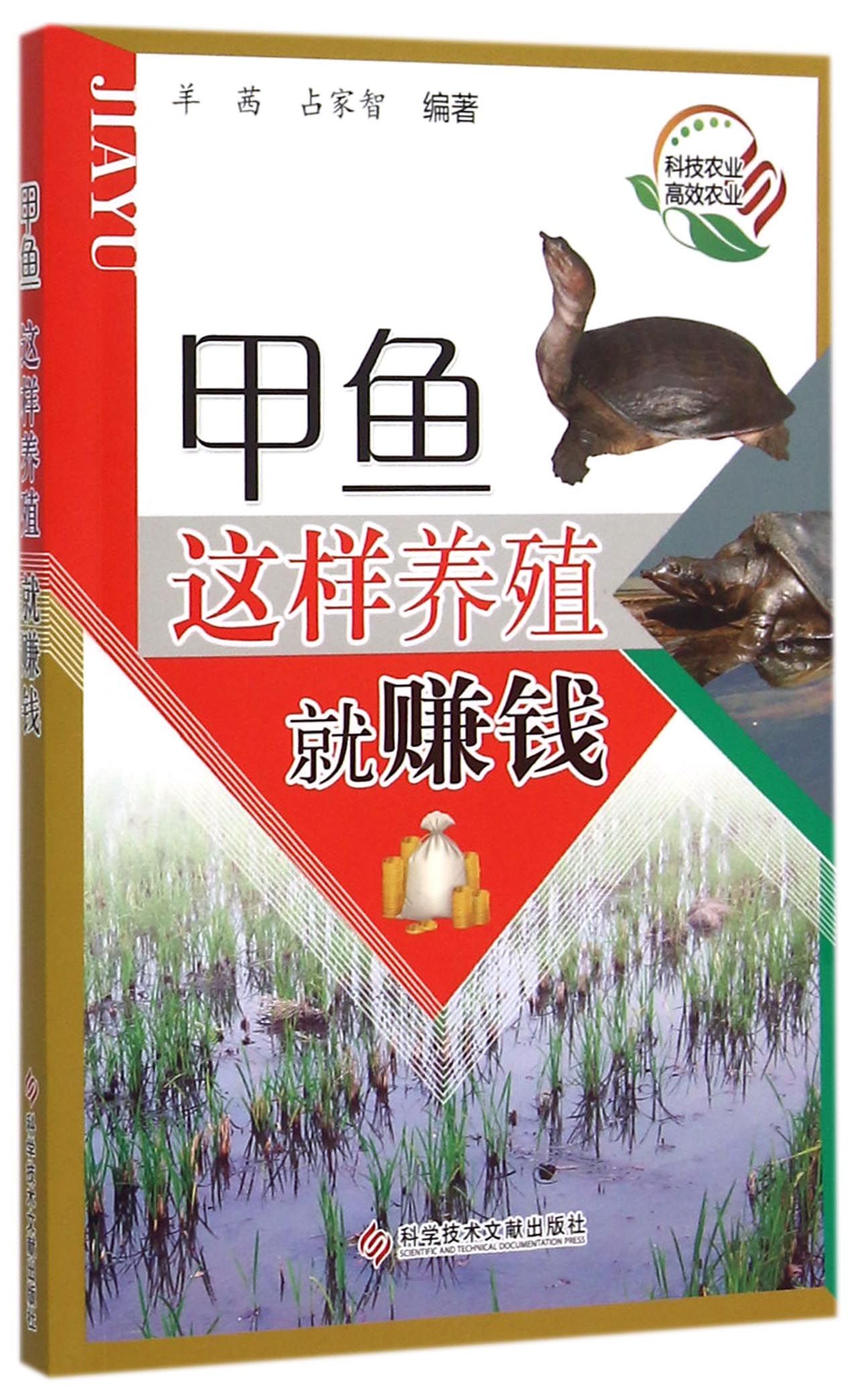 甲鱼这样养殖就赚钱