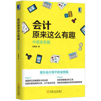 会计原来这么有趣：中级实务篇