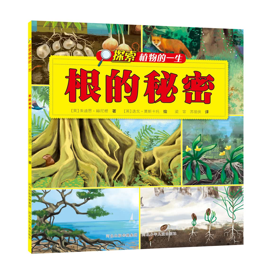 根的秘密 书籍 科学与自然 生物科学