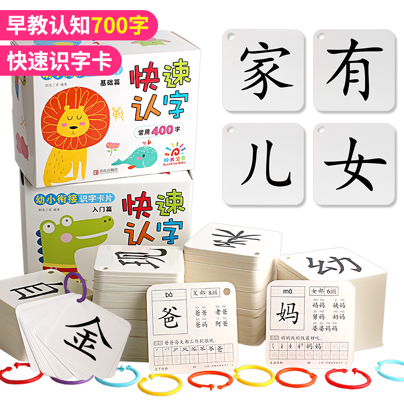 幼小衔接识字卡片 儿童识字卡片认字卡片 3-6岁书拼音卡片 幼儿启蒙认知早教书籍无图识字卡02 基础篇+入门篇