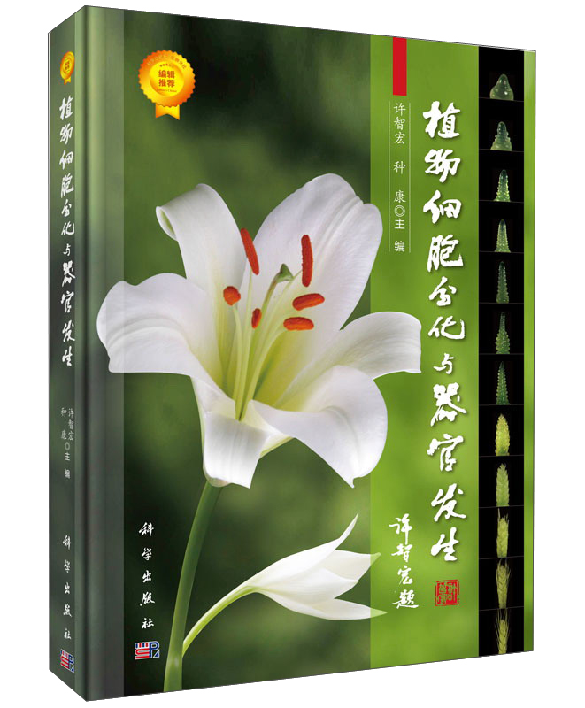 植物细胞分化与器官发生