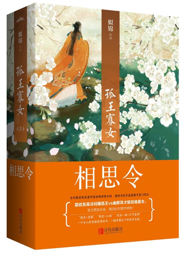 孤王寡女3相思令
