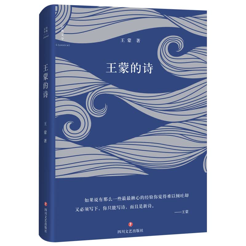 王蒙的诗