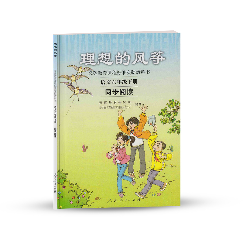 人教版义务教育课程标准实验教科书 语文同步阅读 六年级下册 理想的风筝
