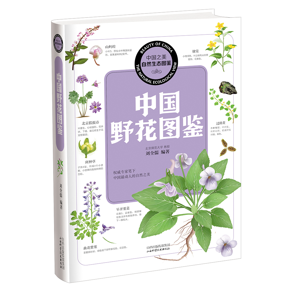 中国之美 自然生态图鉴：中国野花图鉴