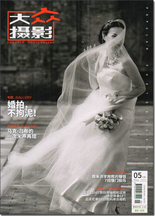 大众摄影（2015年5A月号）