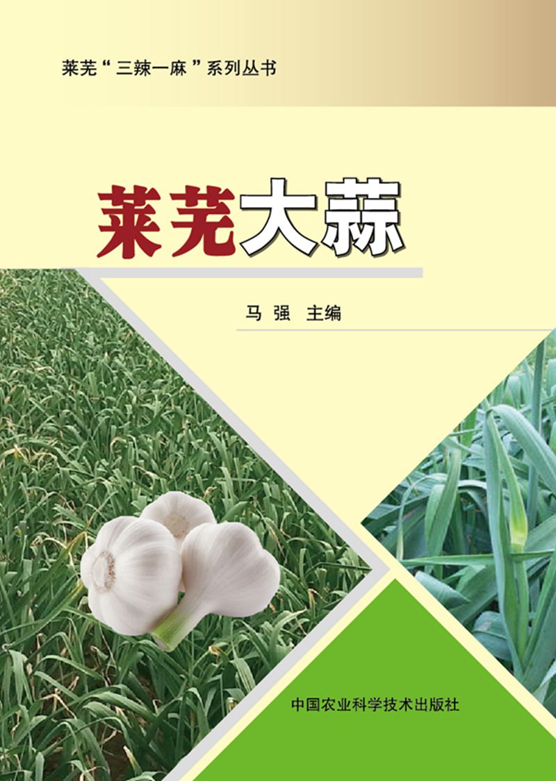 莱芜大蒜