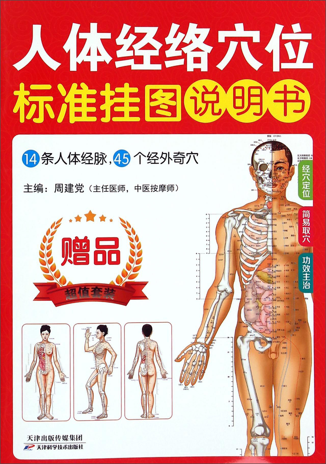 人体经络穴位标准挂图