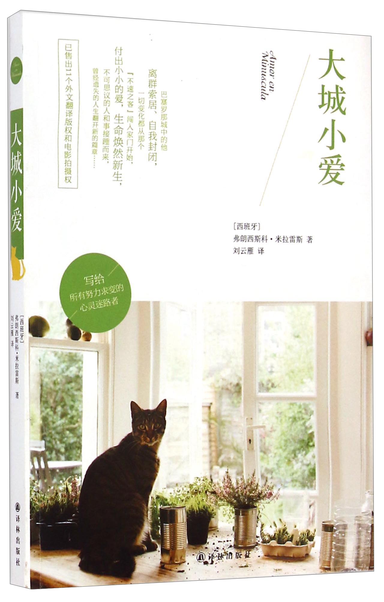大城小爱