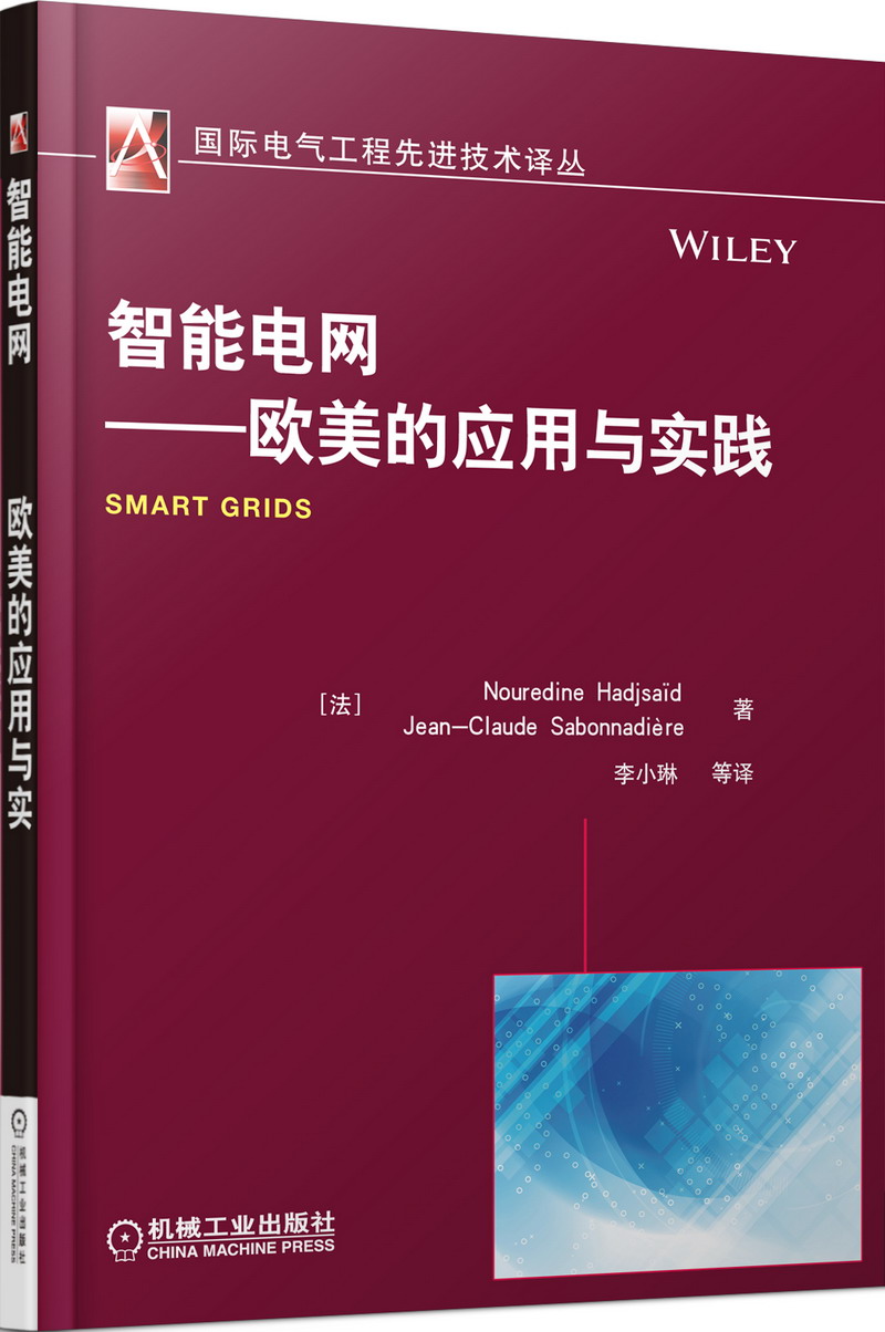 国际电气工程先进技术译丛·智能电网：欧美的应用与实践