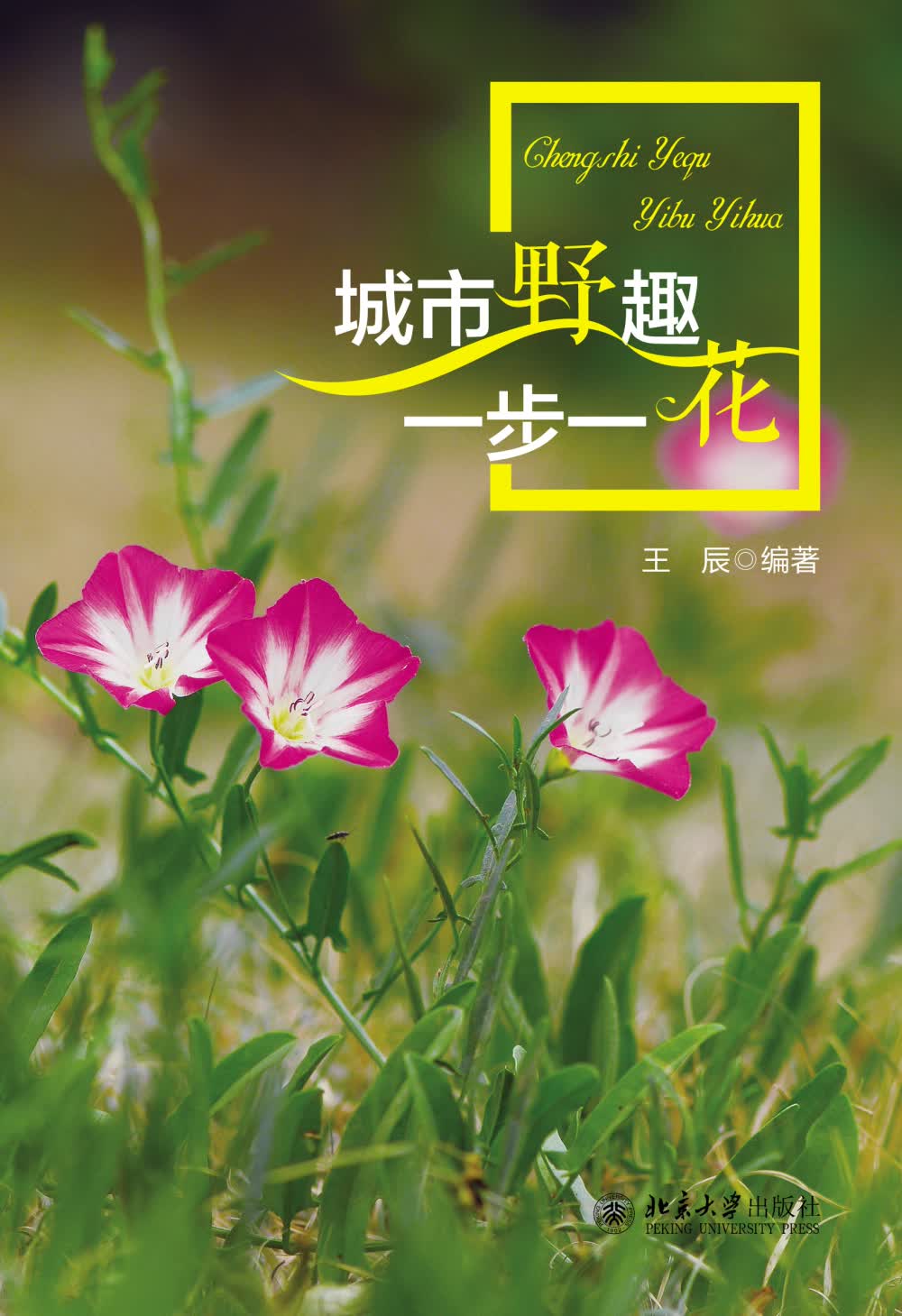 城市野趣：一步一花