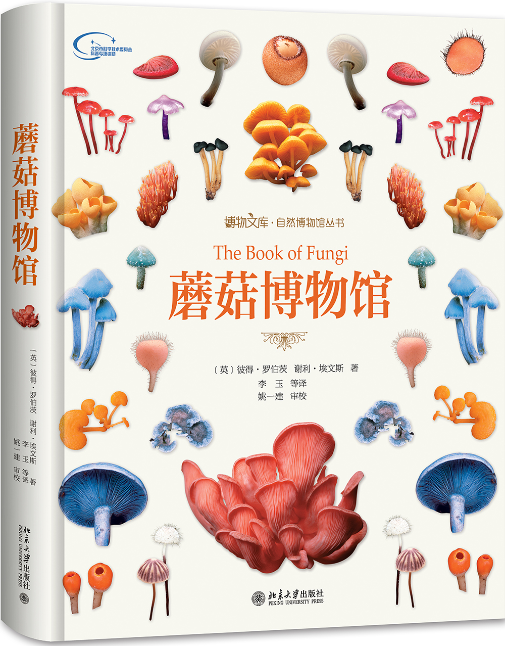 蘑菇博物馆 博物文库