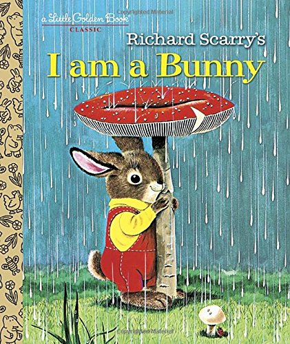 小金书系列 我是一只小兔 I am a Bunny 进口原版 儿童启蒙英语绘本