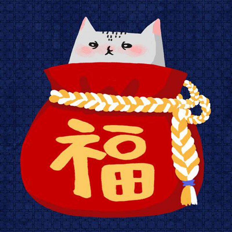 福袋 教辅类