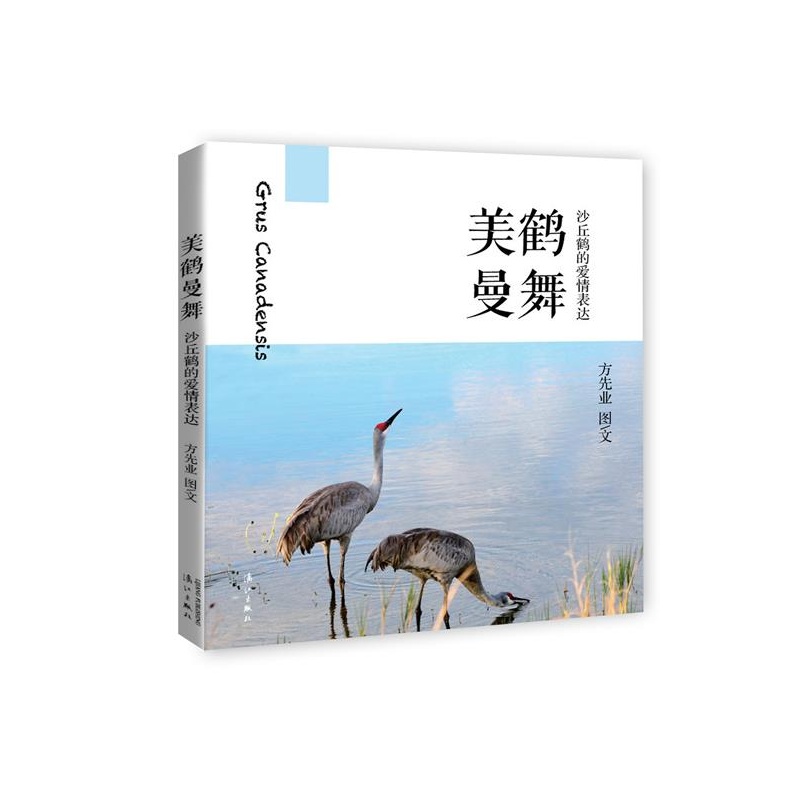 美鹤曼舞沙丘鹤的爱情表达