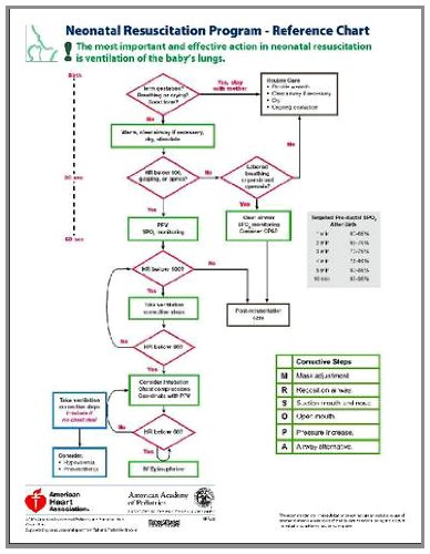 Neonatal Resuscitation Program -