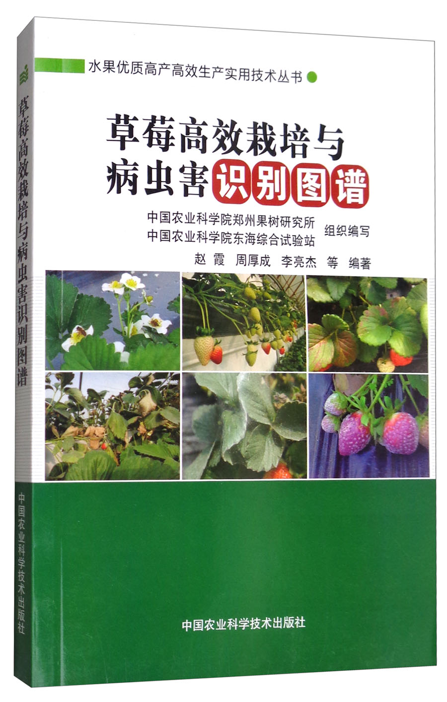 草莓高效栽培与病虫害识别图谱