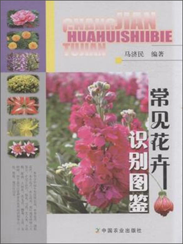 常见花卉识别图鉴