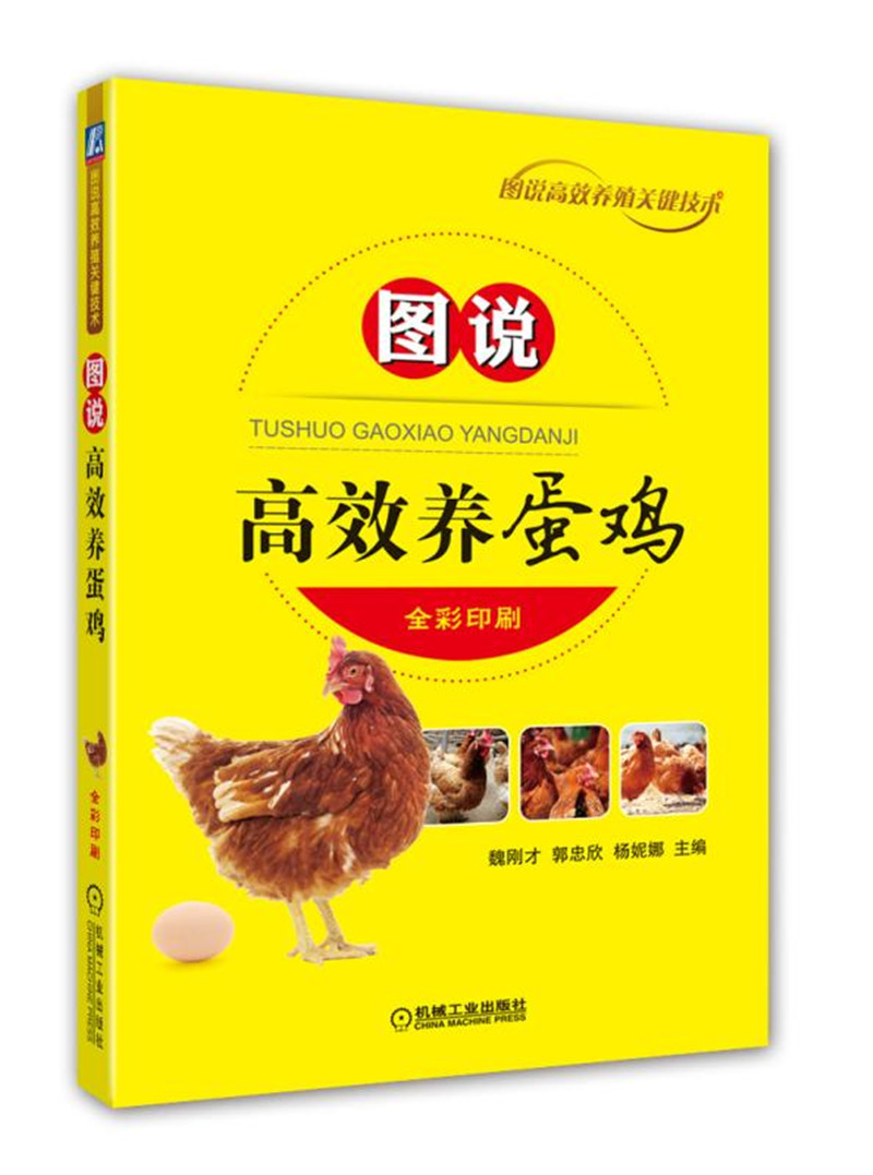 图说高效养蛋鸡