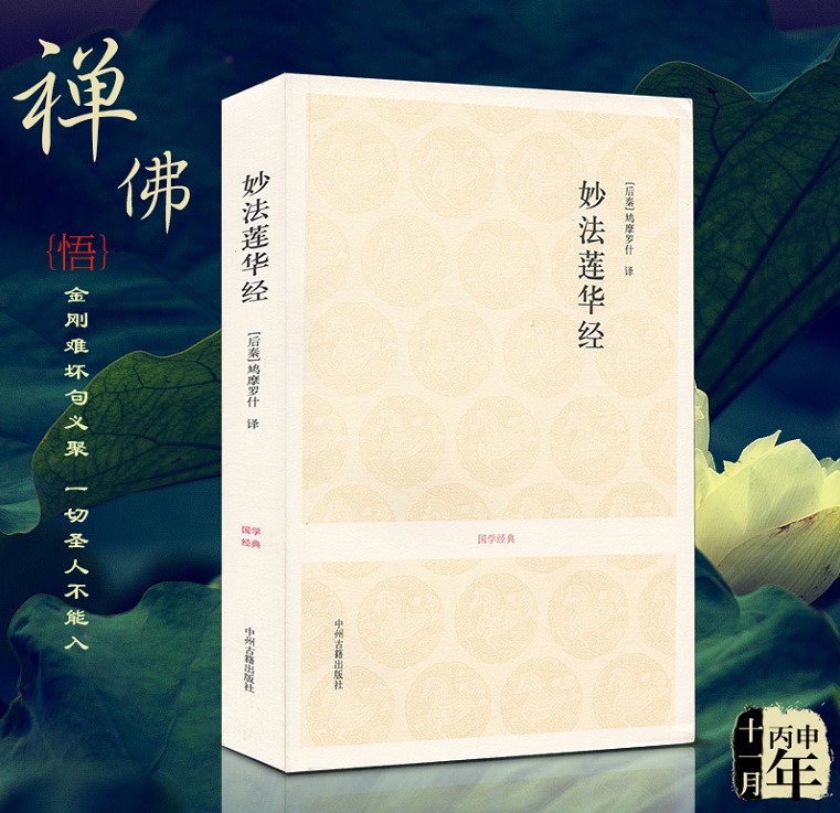 妙法莲华经 法华经译注 大乘妙法莲华经观音菩萨普门品书 全本无删减宣化结缘手抄诵读佛教十三经佛教原典