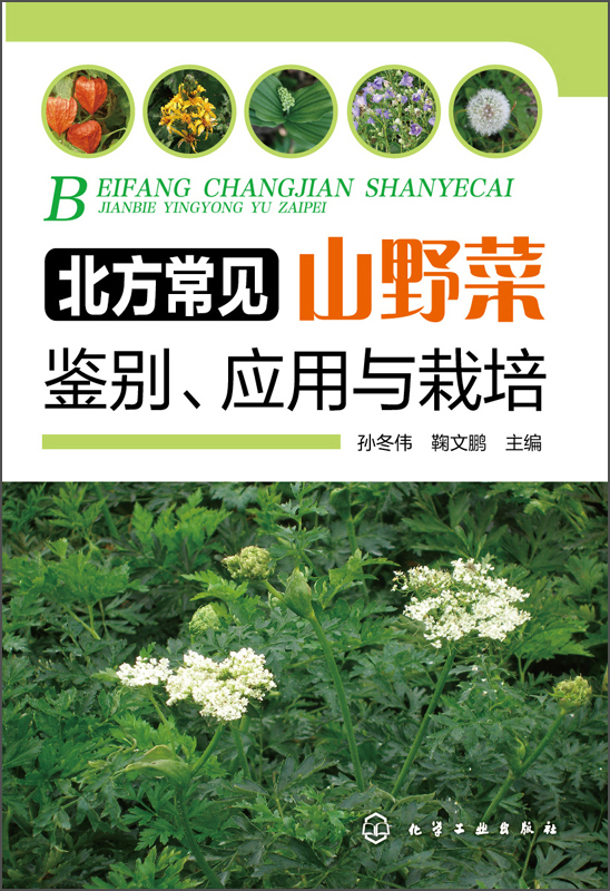 北方常见山野菜鉴别、应用与栽培
