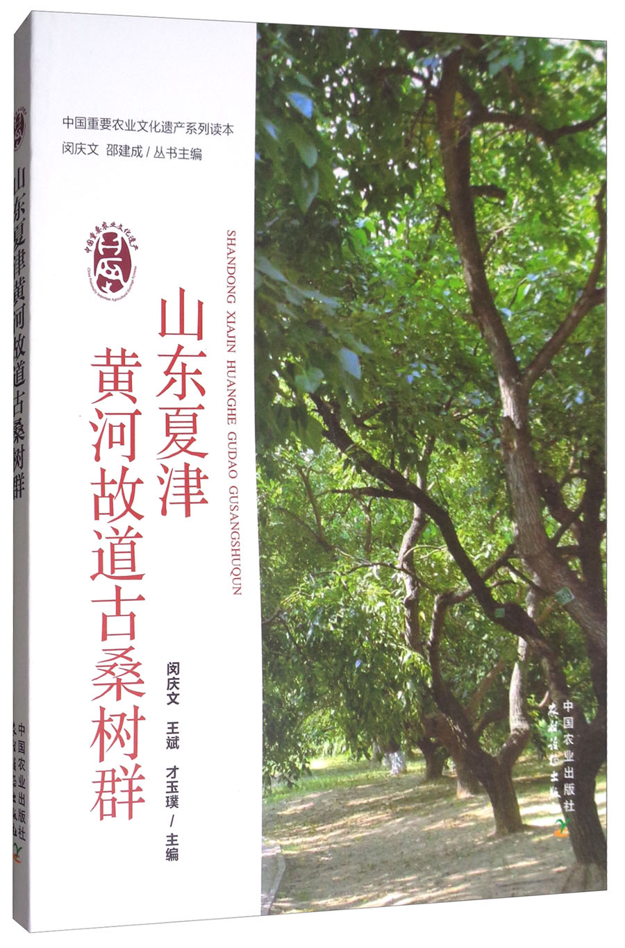 山东夏津黄河故道古桑树群/中国重要农业文化遗产系列读本