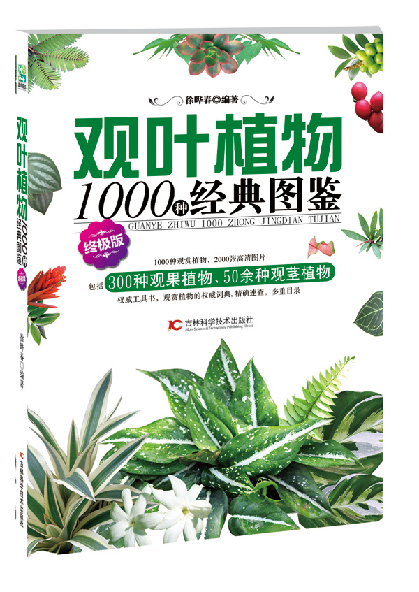 观叶植物1000种经典图鉴-版 家居 书籍