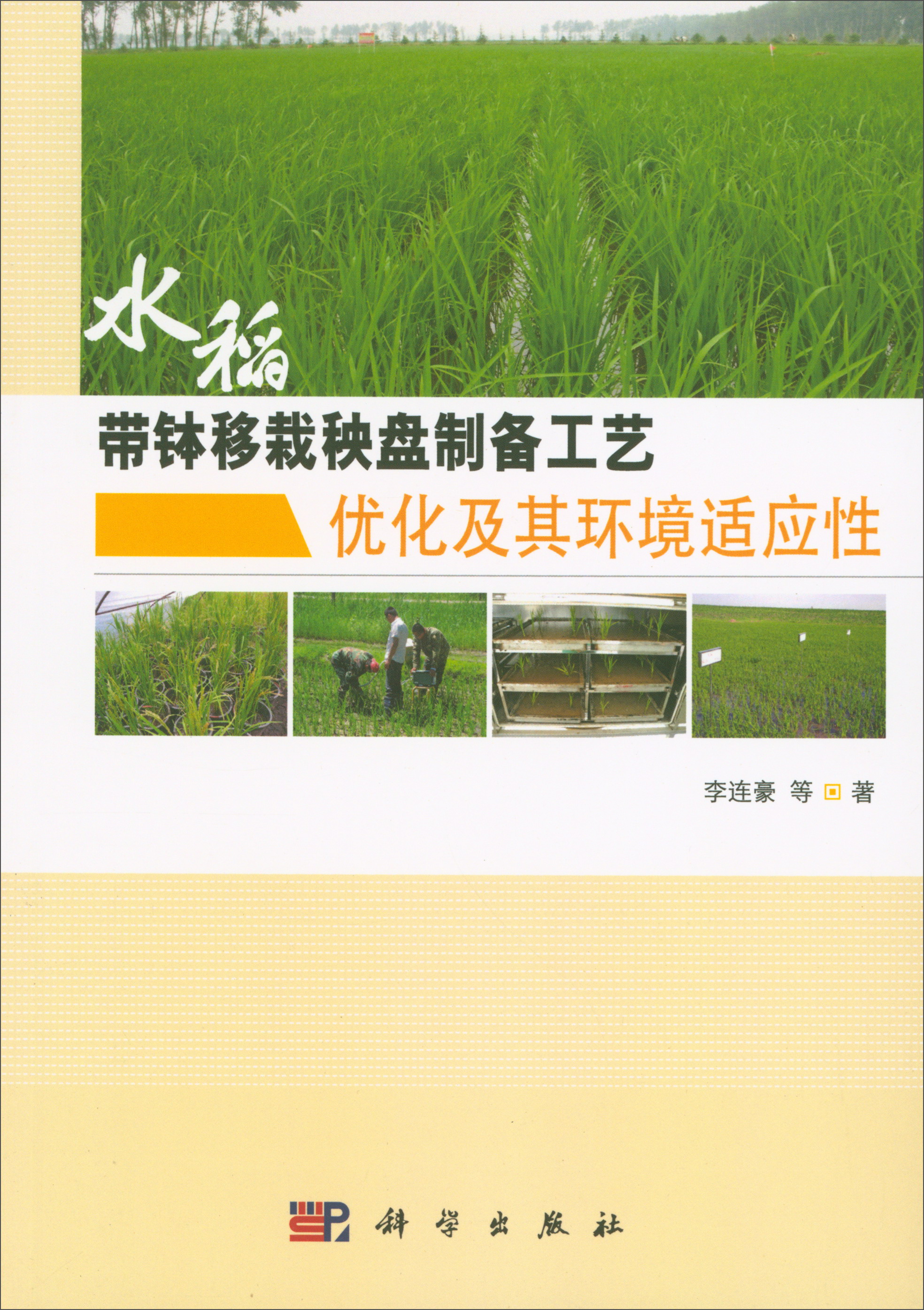水稻带钵移栽秧盘制备工艺优化及其环境适应性