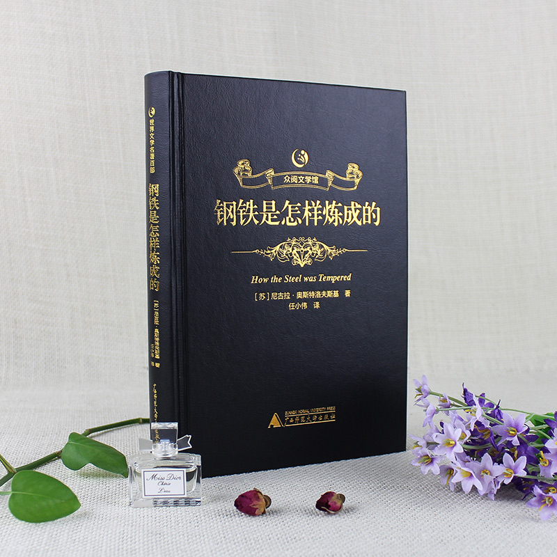 钢铁是怎样炼成的精装版