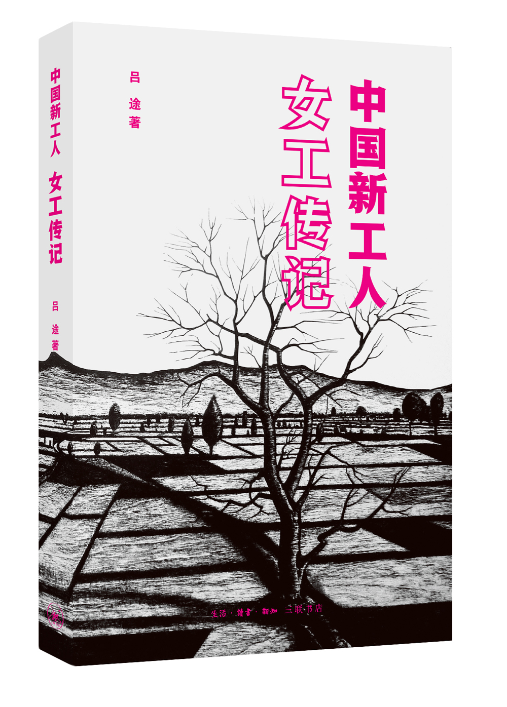中国新工人：女工传记