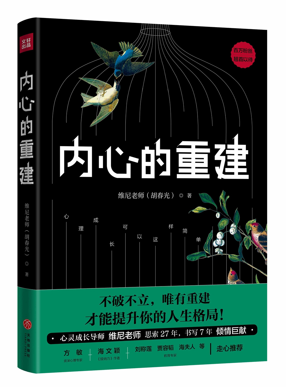 内心的重建（不破不立，唯有重建，才能提升你的人生格局！维尼老师思索27年、书写7年）